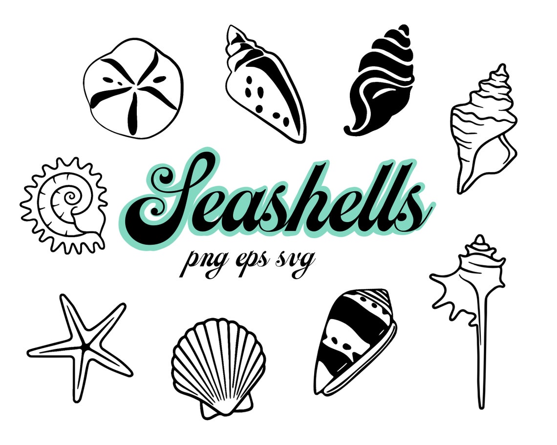 Seashell SVG Bundle Seashells Cricut Cut Files SVG Files - Etsy