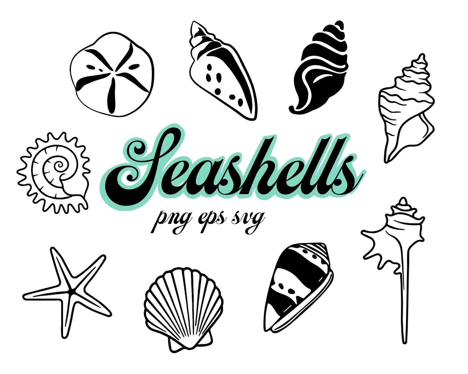 Seashell SVG Bundle Seashells Cricut Cut Files SVG Files - Etsy Canada