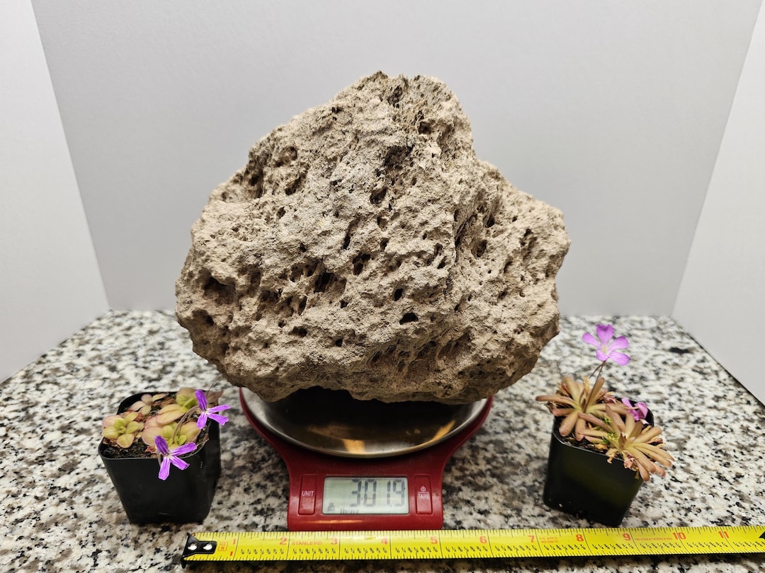 Pumice Stone Large - Etsy