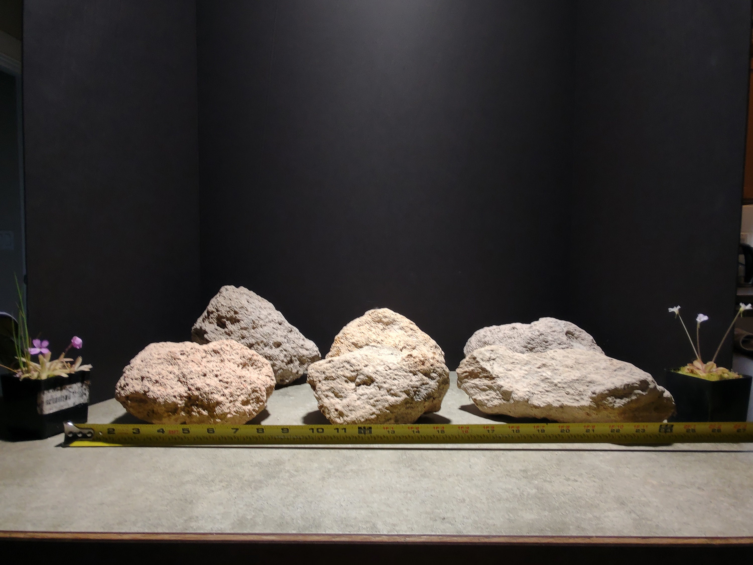 Pumice Stone Large - Etsy