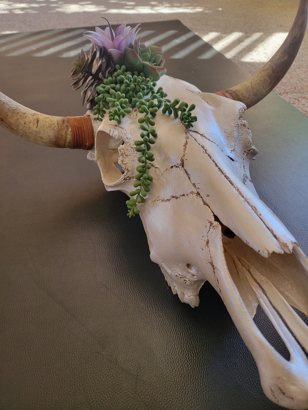 Real Hand Painted Bull Skull - Etsy