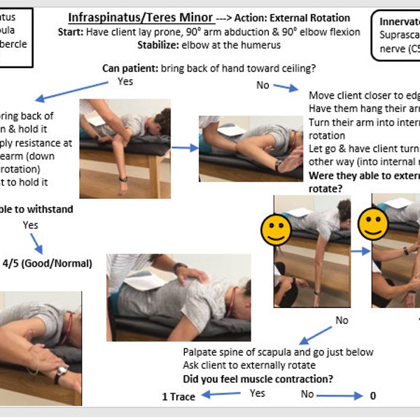 Physical Therapy Cheat Sheet - Etsy