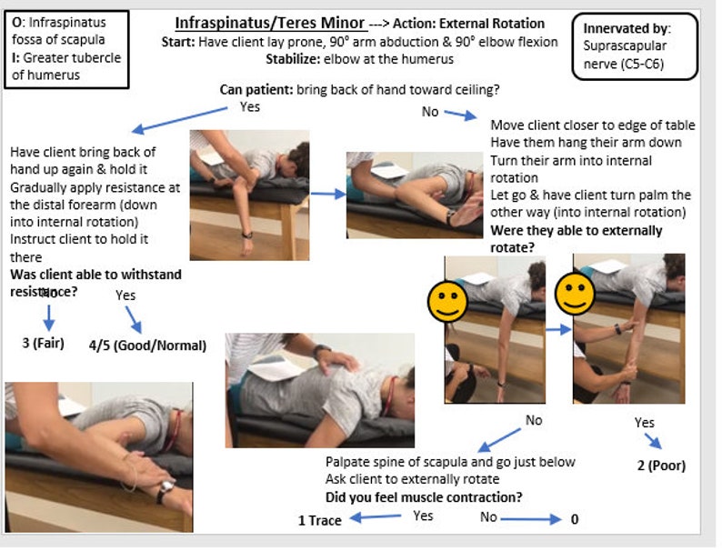 Manual Muscle Testing and Goniometry Cheat Sheet - Etsy
