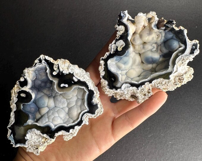 RARE Agatized Fossil Coral Head Geode Pair Rare Color Cut & Polished Uv ...
