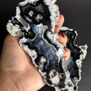 Agatized Fossil Coral Geode Pair Rare Color Large Cut & Polished - Etsy