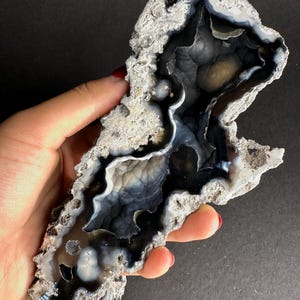 Agatized Fossil Coral Geode Pair Rare Color Large Cut & Polished - Etsy