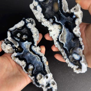 Agatized Fossil Coral Geode Pair Rare Color Large Cut & Polished - Etsy
