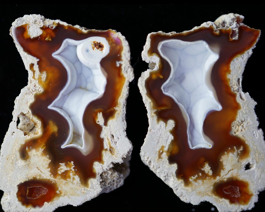 Agatized Coral Geode Pair Rare Red Specimen Cut & Polished Uv-reactive ...