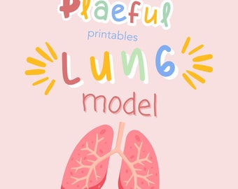 Lung Model, Lung Model Printable, Anatomy Printables, Lung Learning ...
