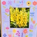 Flower Hunt, Flower Printable, Preschool Learning, Nature Learning ...