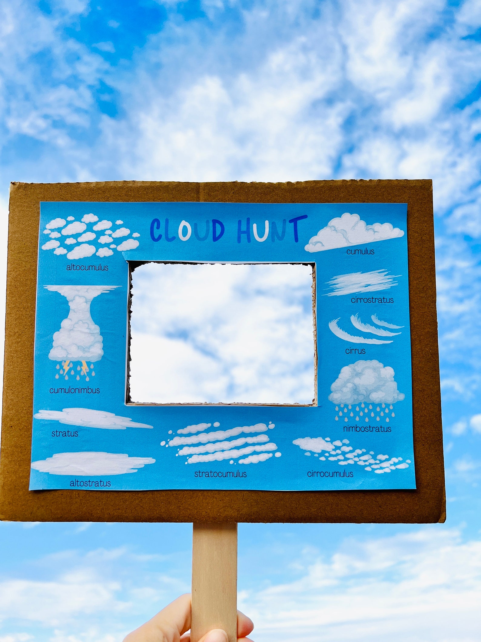 Cloud Hunt Printable Cloud Printable Cloud Types Nature - Etsy