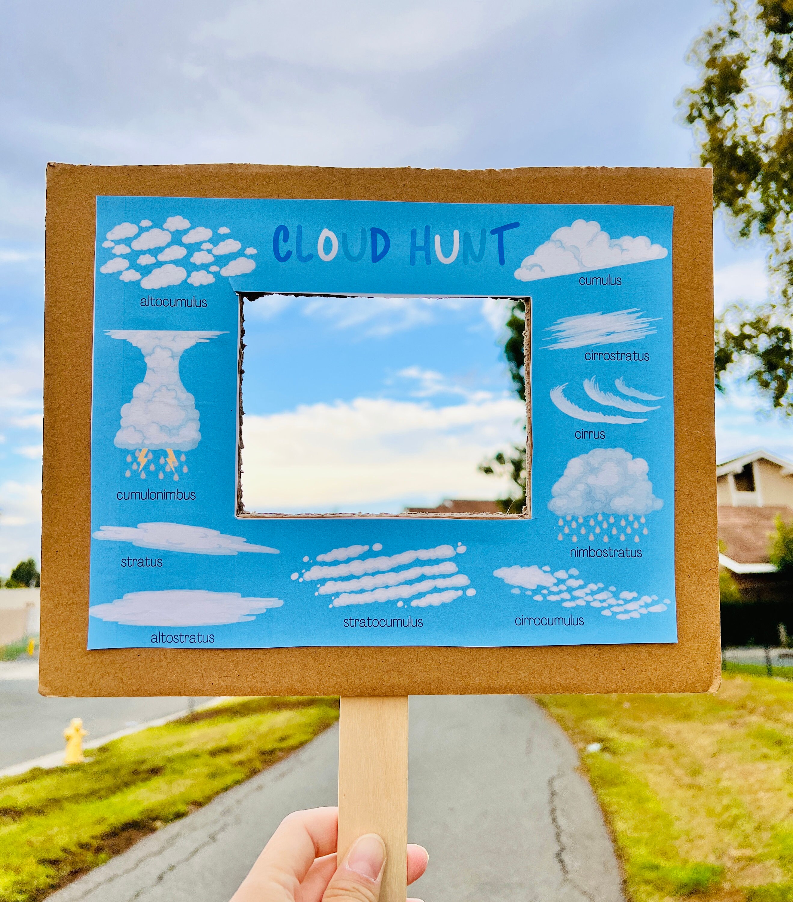 Cloud Hunt Printable: Nature Learning, Cloud Types (digital Download ...