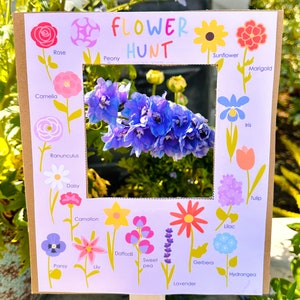 Flower Hunt, Flower Printable, Preschool Learning, Nature Learning ...