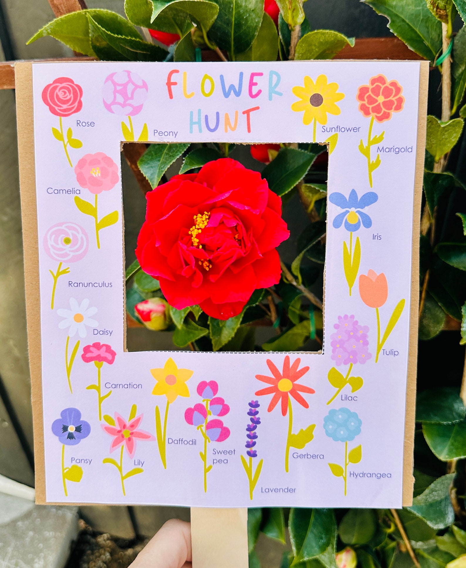 Flower Hunt, Flower Printable, Preschool Learning, Nature Learning ...