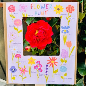 Flower Hunt, Flower Printable, Preschool Learning, Nature Learning ...