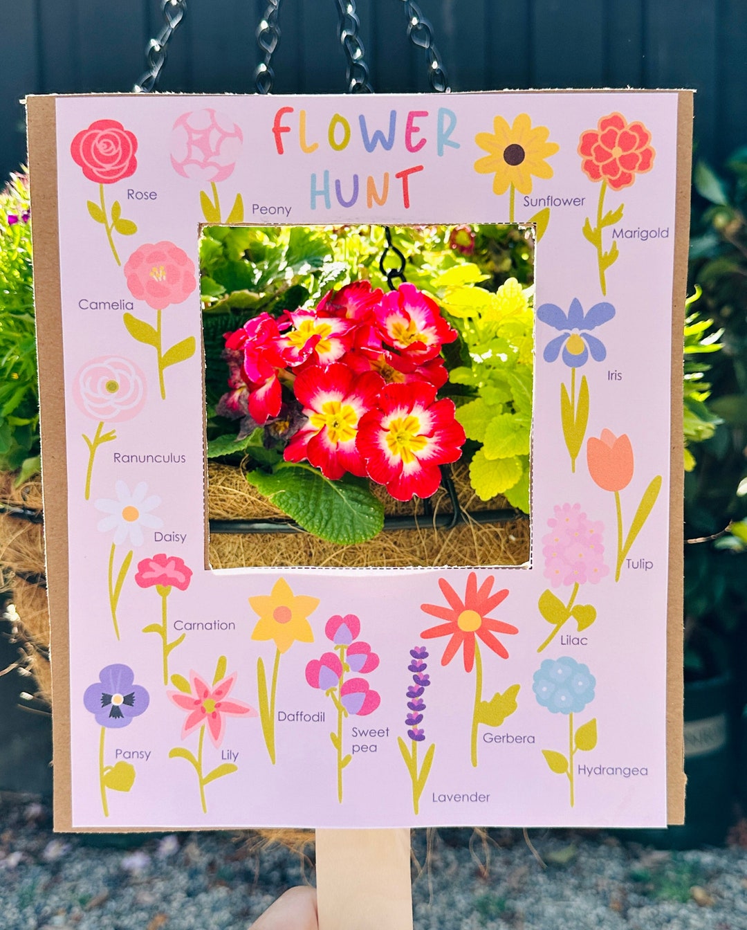 Flower Hunt, Flower Printable, Preschool Learning, Nature Learning ...