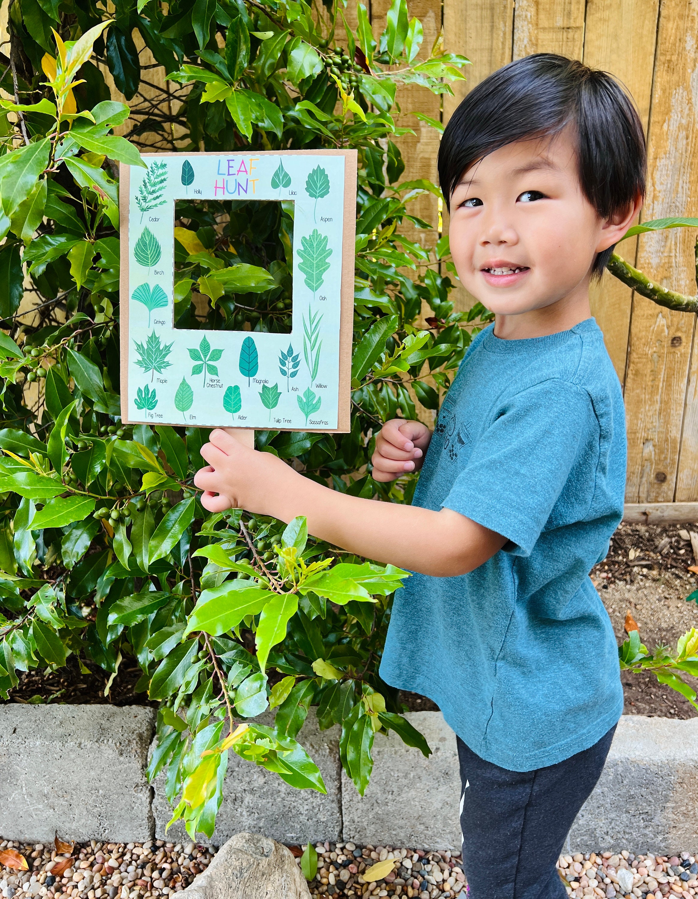 Leaf Hunt Printable: Preschool Nature Learning Activity (digital ...