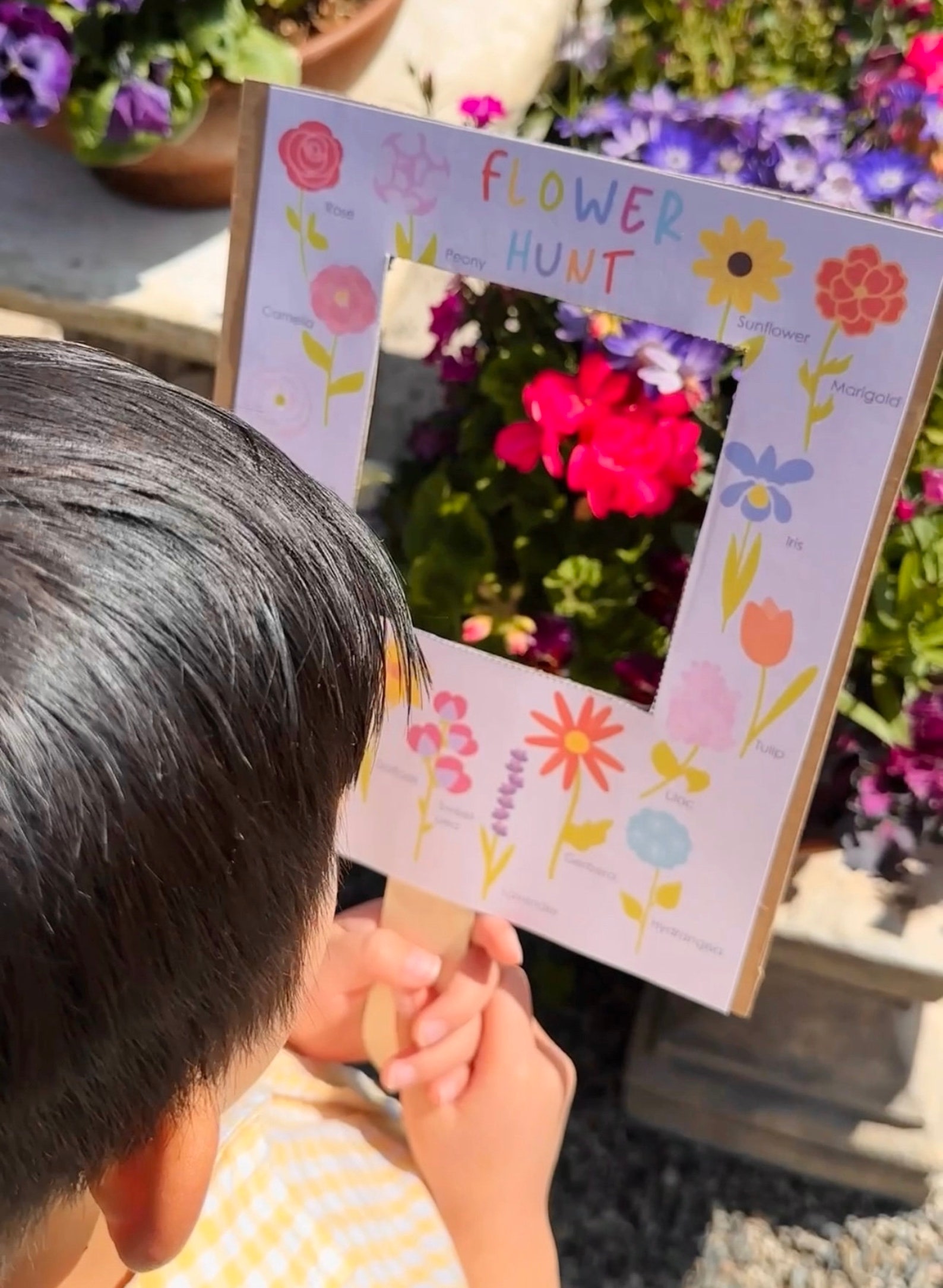 Flower Hunt, Flower Printable, Preschool Learning, Nature Learning ...