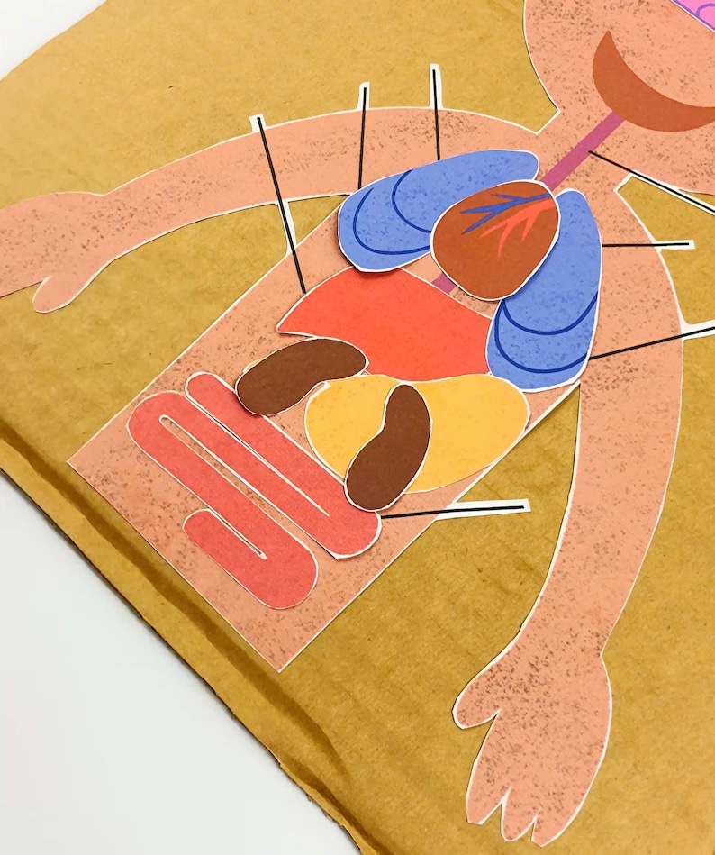 Anatomy Learning Activity Color Learning Preschool - Etsy