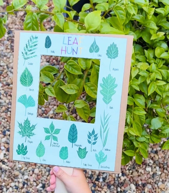 Leaf Hunt Leaf Printable Preschool Learning Nature - Etsy