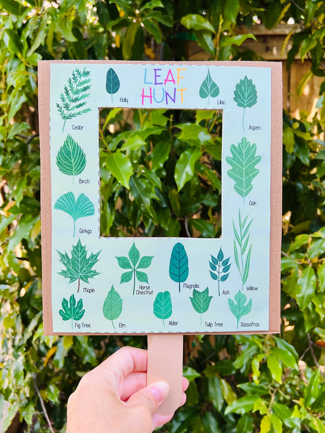 Leaf Hunt Leaf Printable Preschool Learning Nature - Etsy