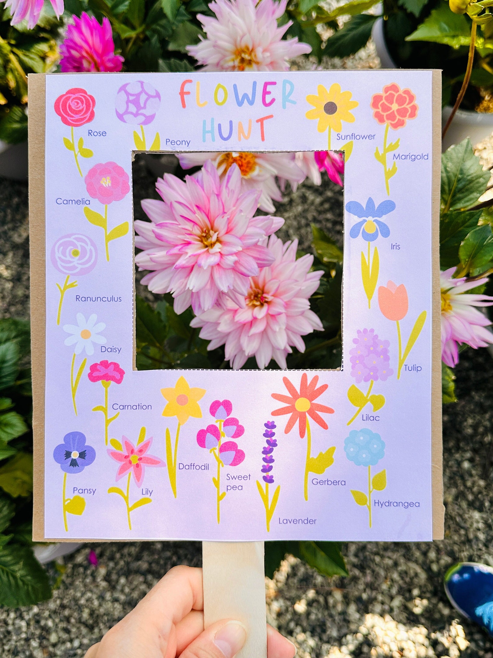 Flower Hunt, Flower Printable, Preschool Learning, Nature Learning ...
