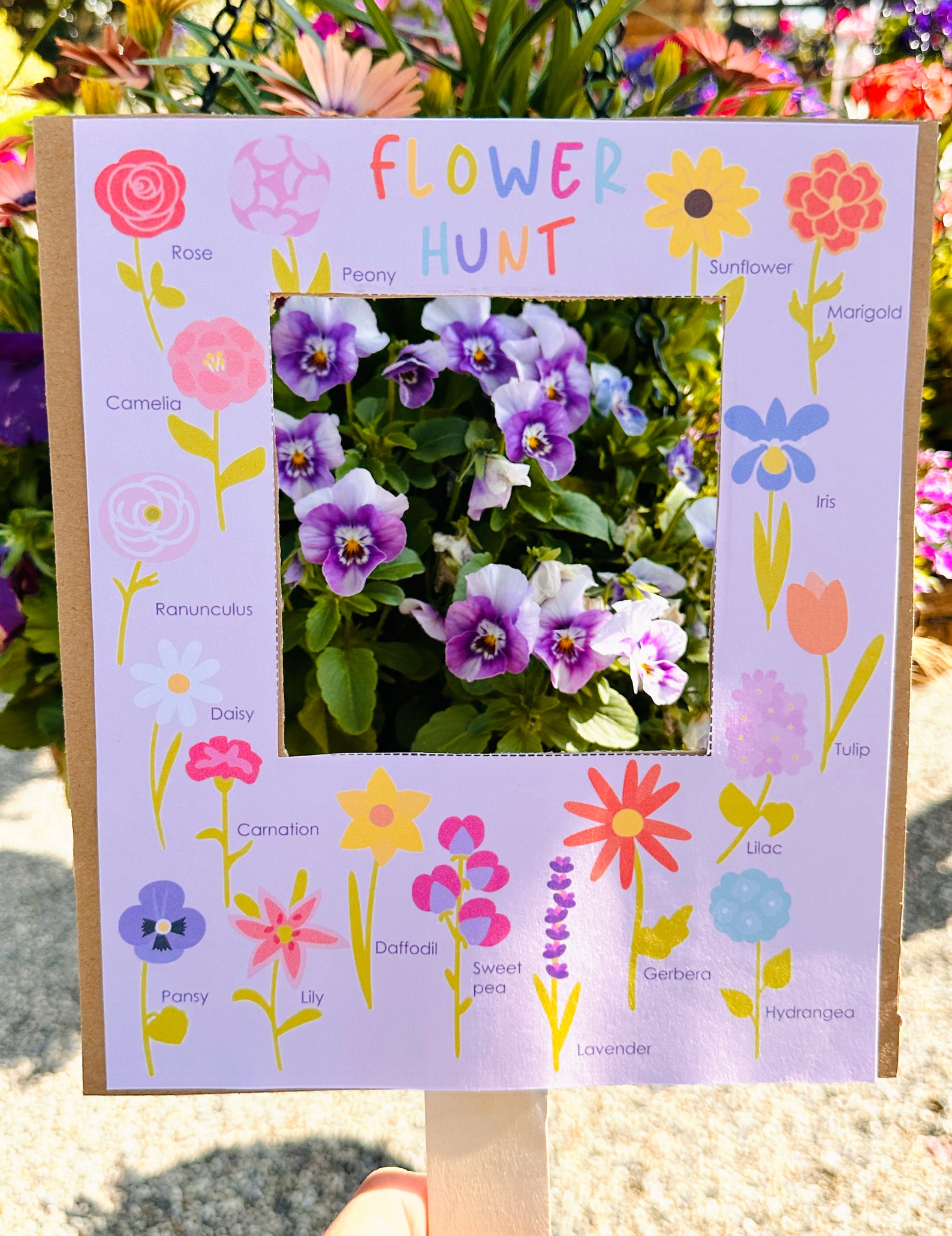 Flower Hunt, Flower Printable, Preschool Learning, Nature Learning ...