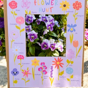 Flower Hunt, Flower Printable, Preschool Learning, Nature Learning ...