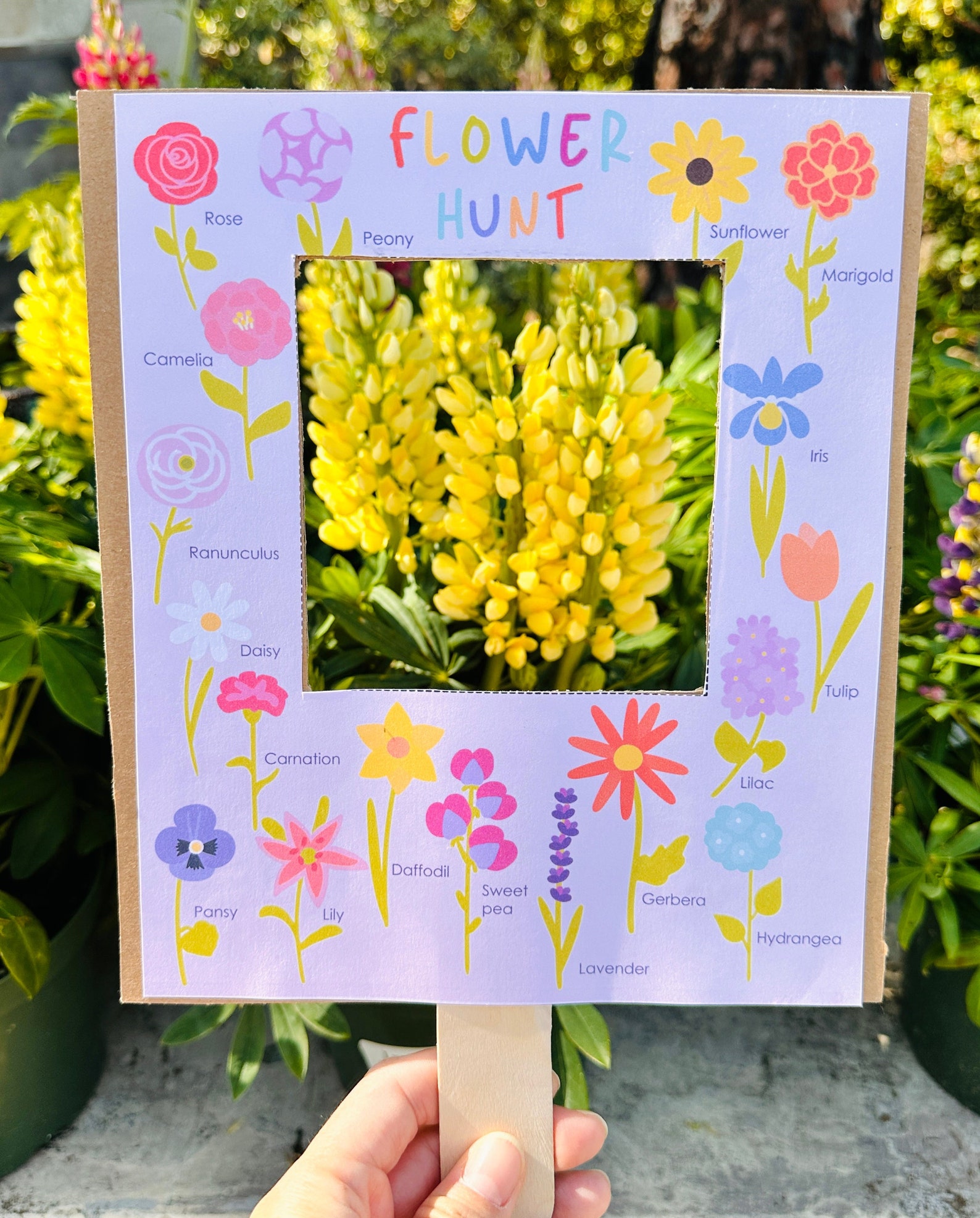 Flower Hunt, Flower Printable, Preschool Learning, Nature Learning ...