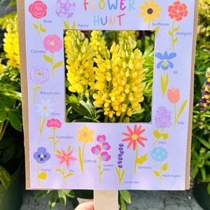 Flower Hunt, Flower Printable, Preschool Learning, Nature Learning ...