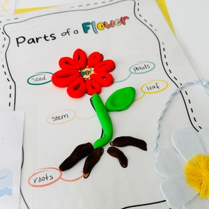 Spring Playdough Mats, Play Doh Cards, Toddler Activity, Preschool ...