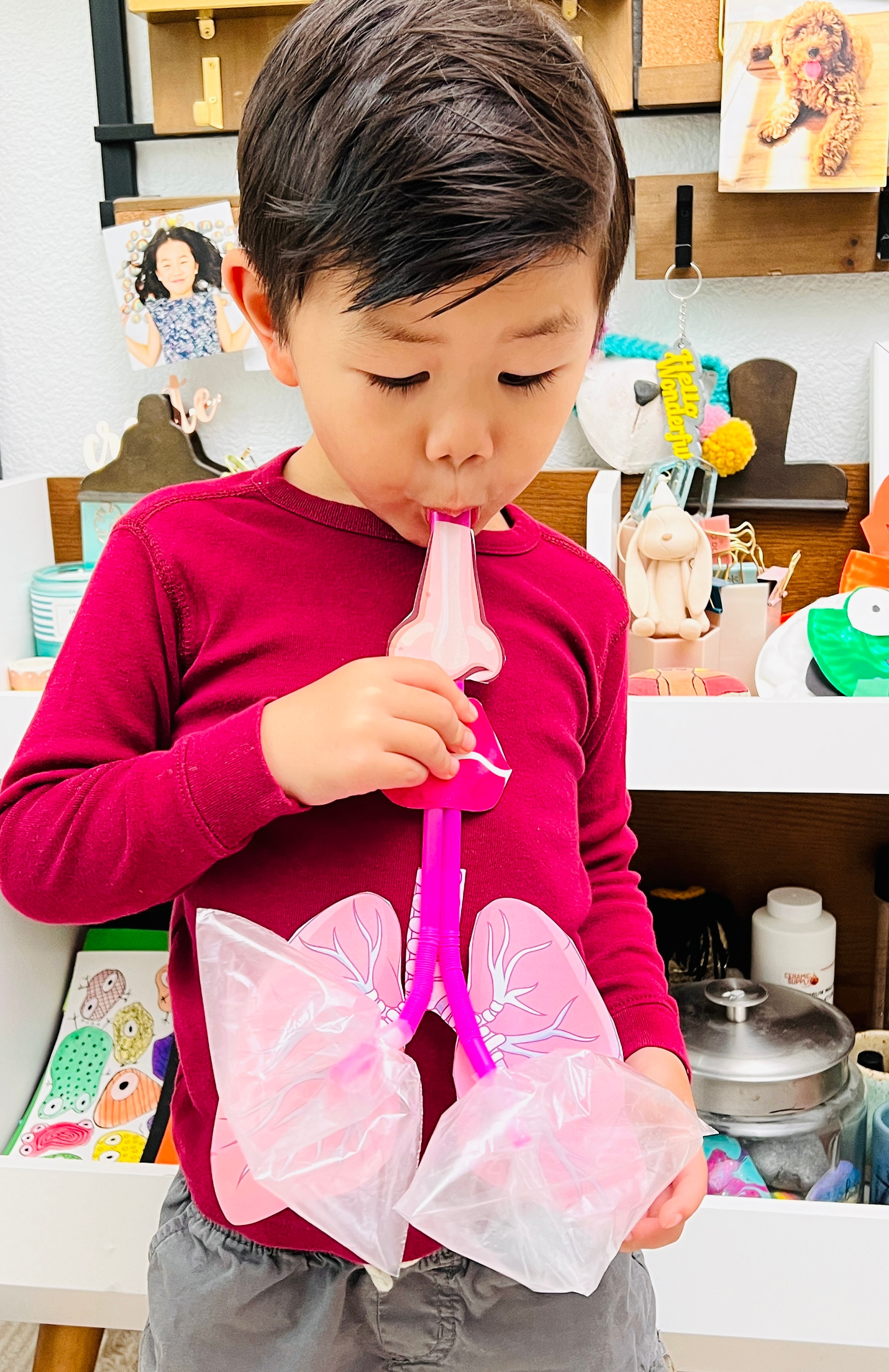 Lung Anatomy Model Printable: Kids Learning, Homeschool (digital ...