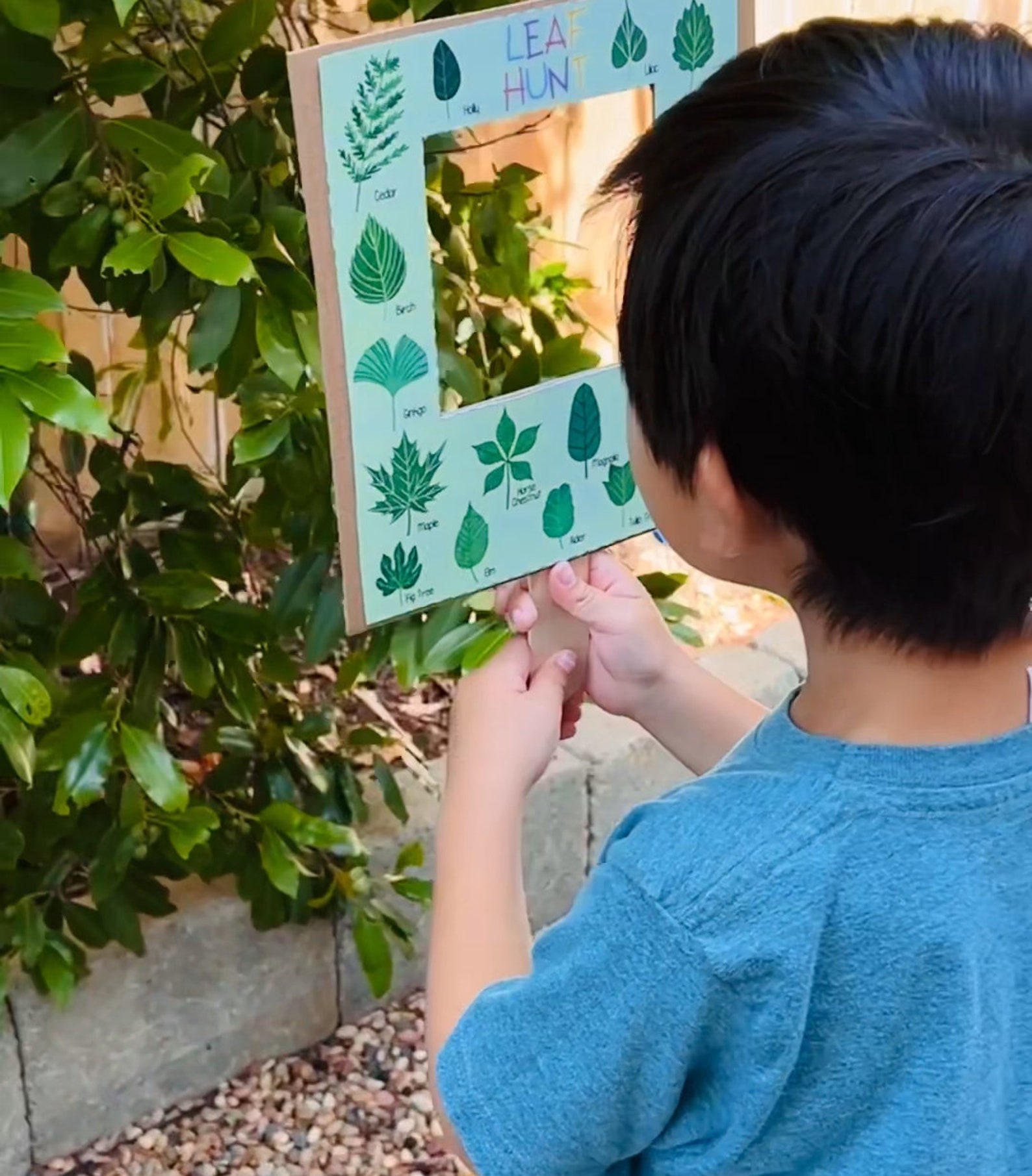 Leaf Hunt Printable: Preschool Nature Learning Activity (digital ...