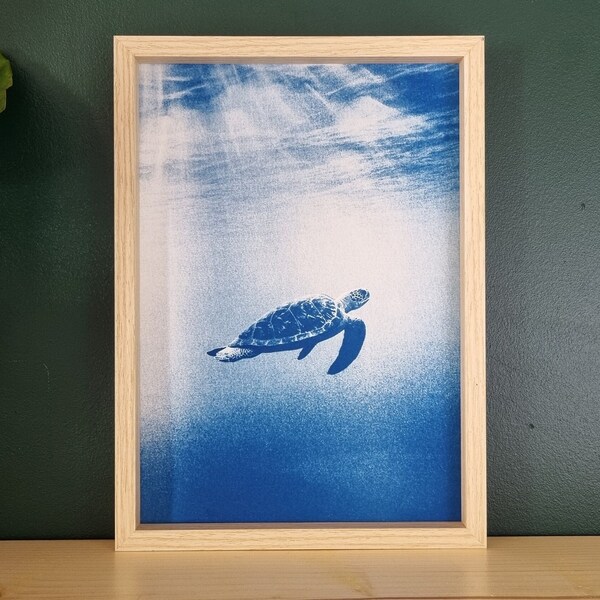 Sea Turtle Poster - Etsy