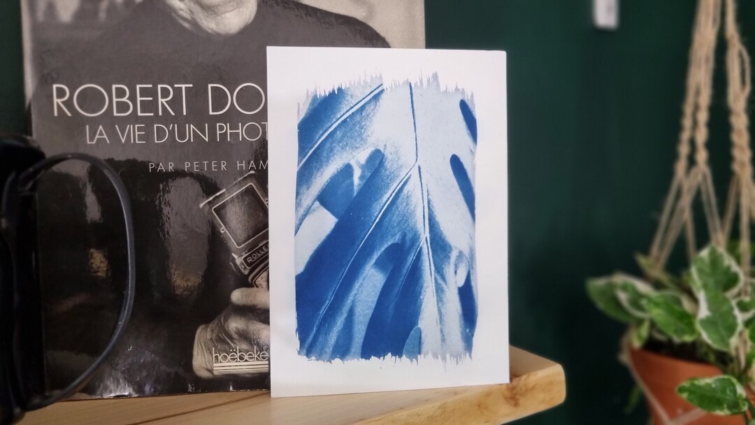 "falling" Cyanotype Poster - Unique, Limited and Numbered Artisanal ...