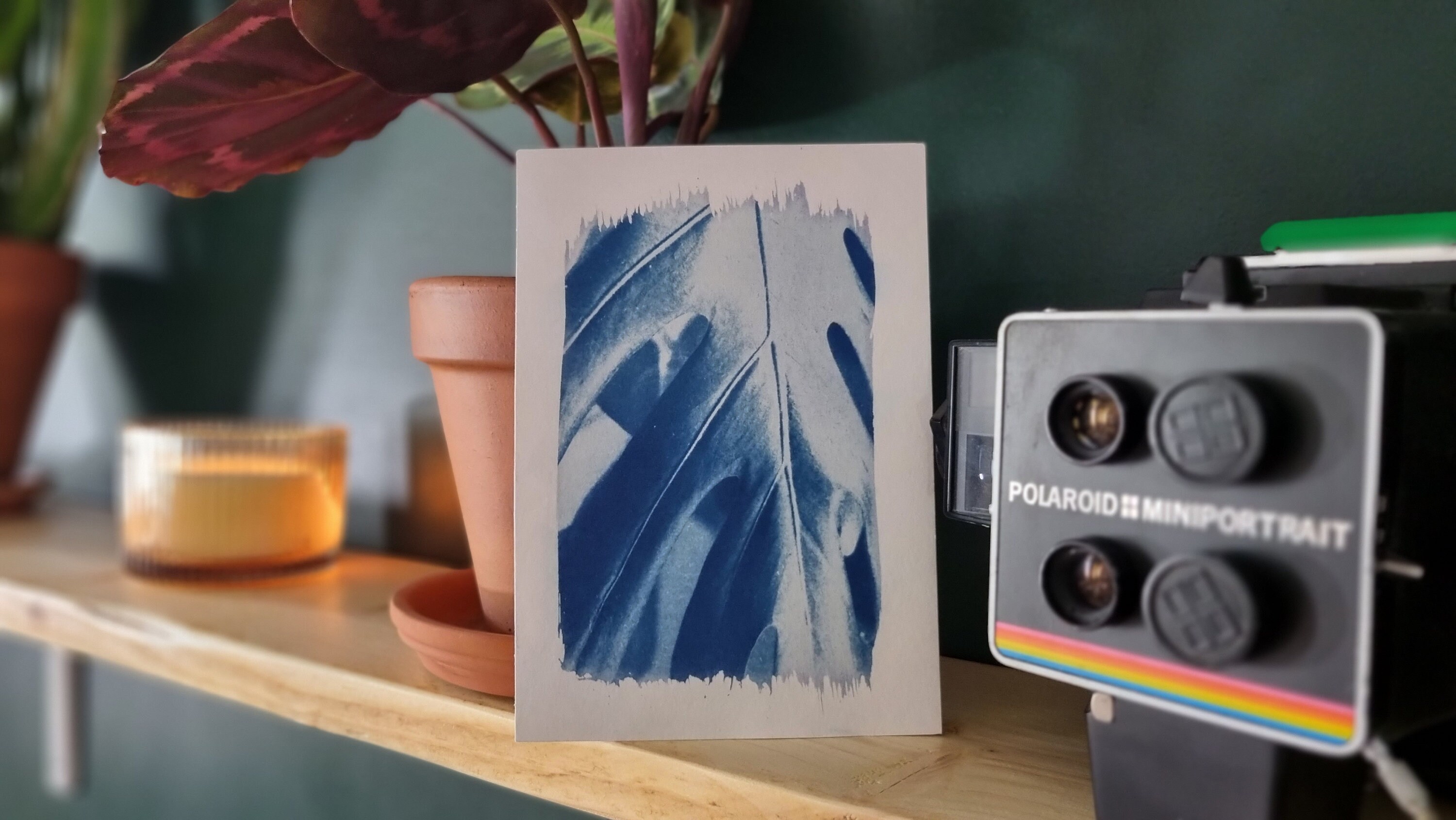 Falling Cyanotype Poster Unique, Limited and Numbered Artisanal Print ...