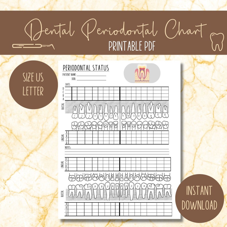 Periodontal Chart for Dentist Office - Etsy