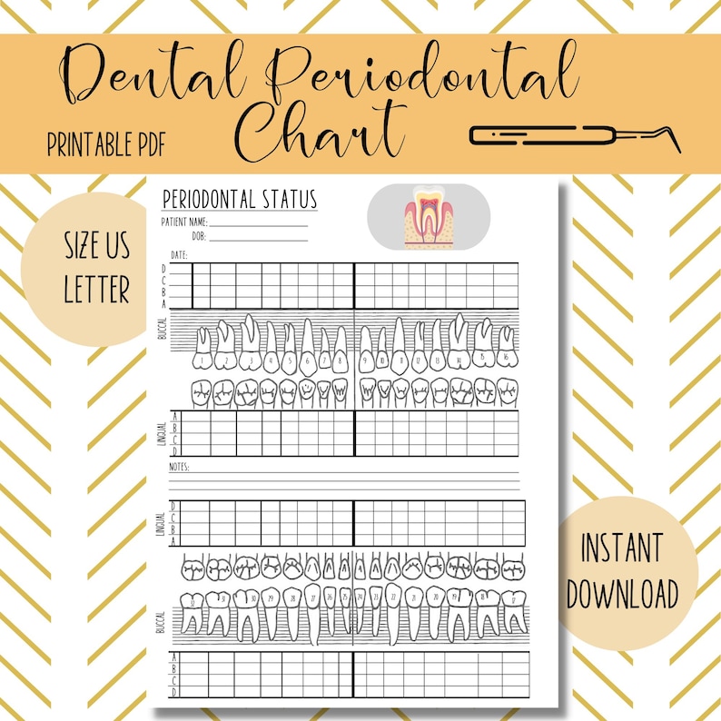 Periodontal Chart for Dentist Office - Etsy