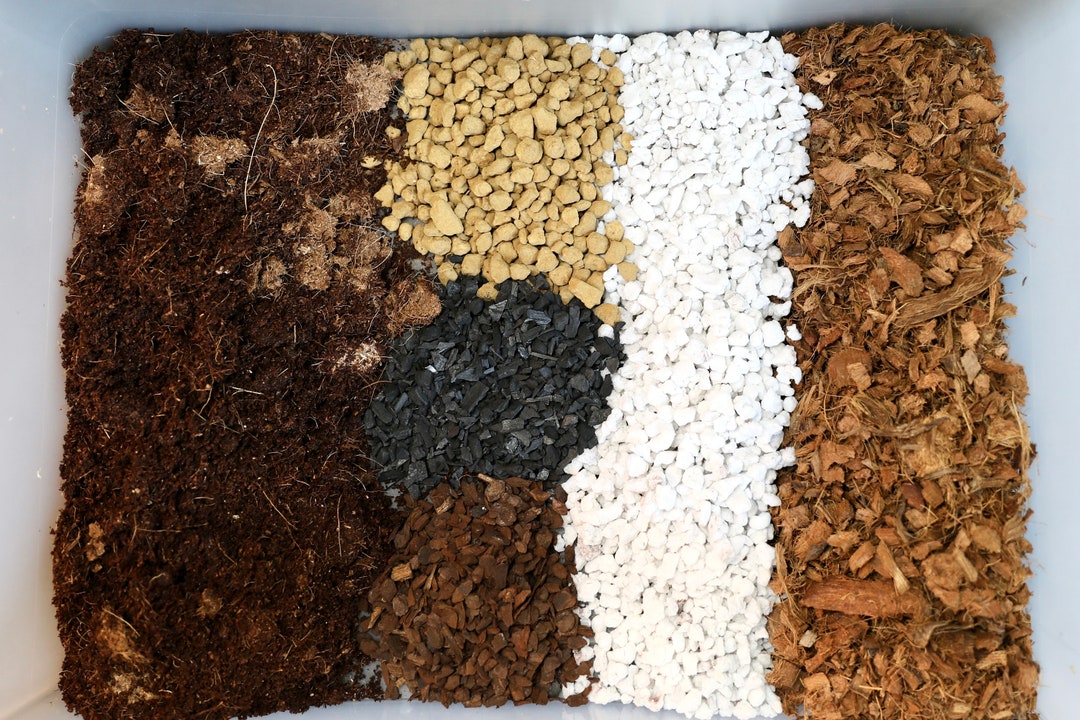 1 Gallon Premium Soil Mix for Foliage Plants (tropicals, Aroids, Etc ...