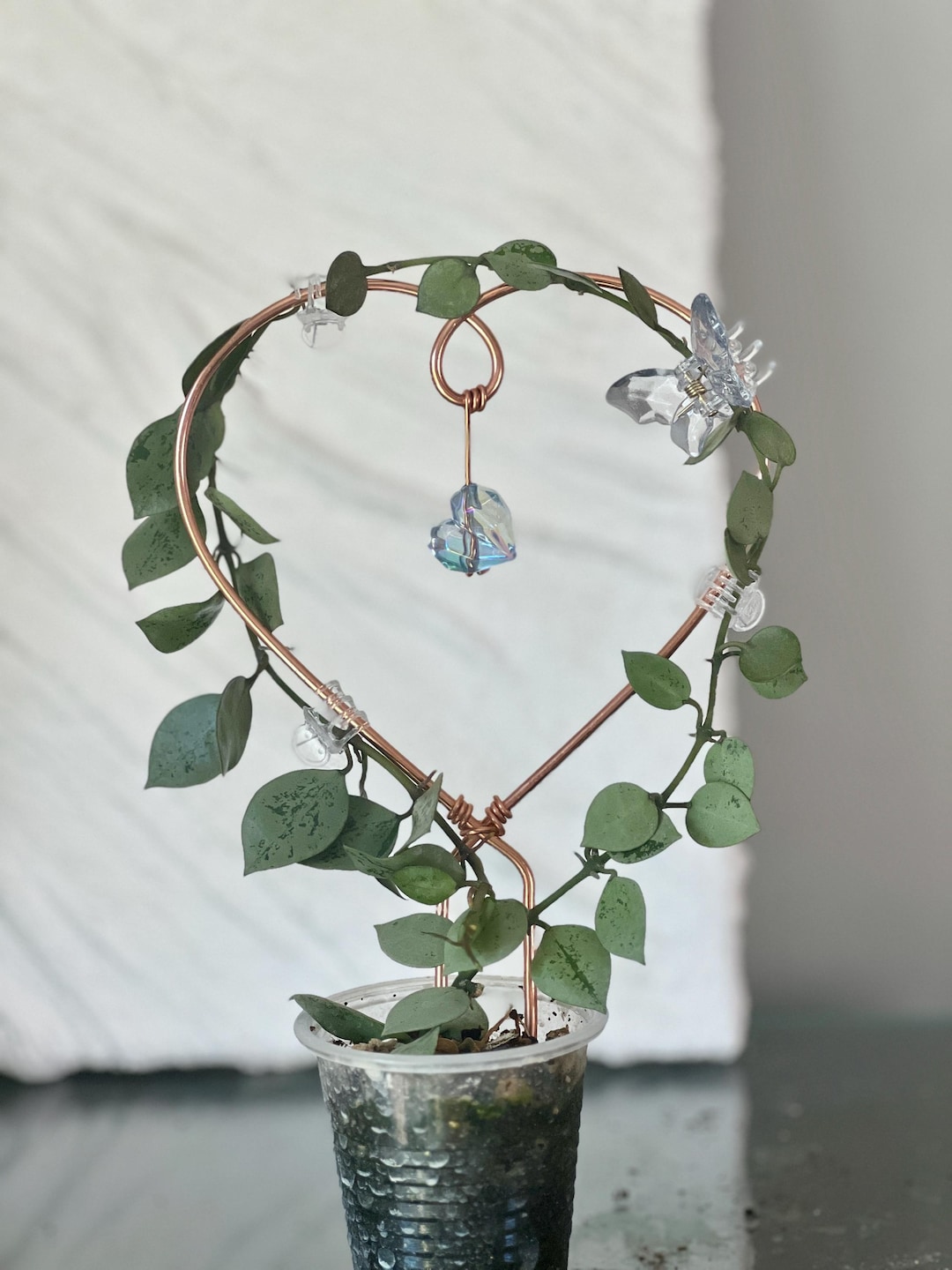 Hoya Sweet Heart Trellis / Hoya Trellis / Houseplant Accessory/plant ...