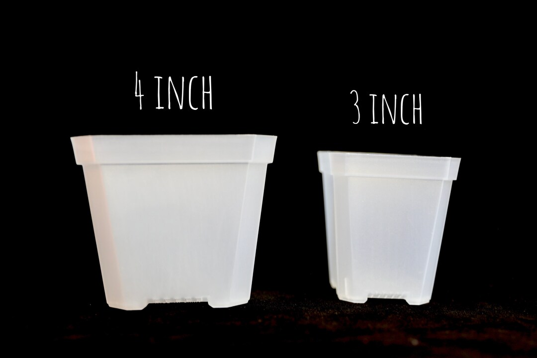 3inch/4inch Slit Square Clear Plastic Pot ~ Sturdy - Reusable ~ Starter ...