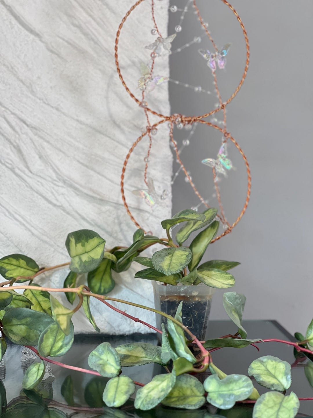 Hoya Trellis Butterfly Trellis/houseplant Accessory/plant Trellis/plant ...