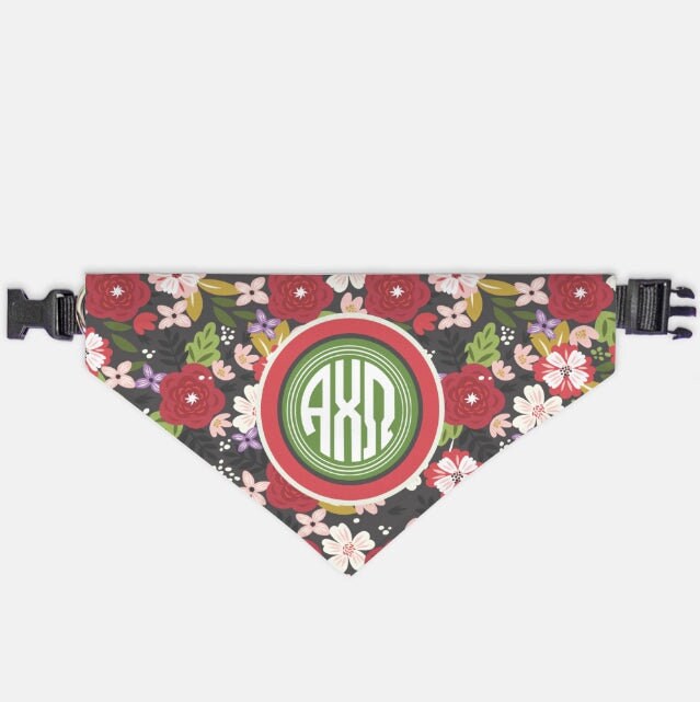 Alpha Chi Omega Pet Bandana Modern Floral AXO Pet Dog Bandana Pet ...