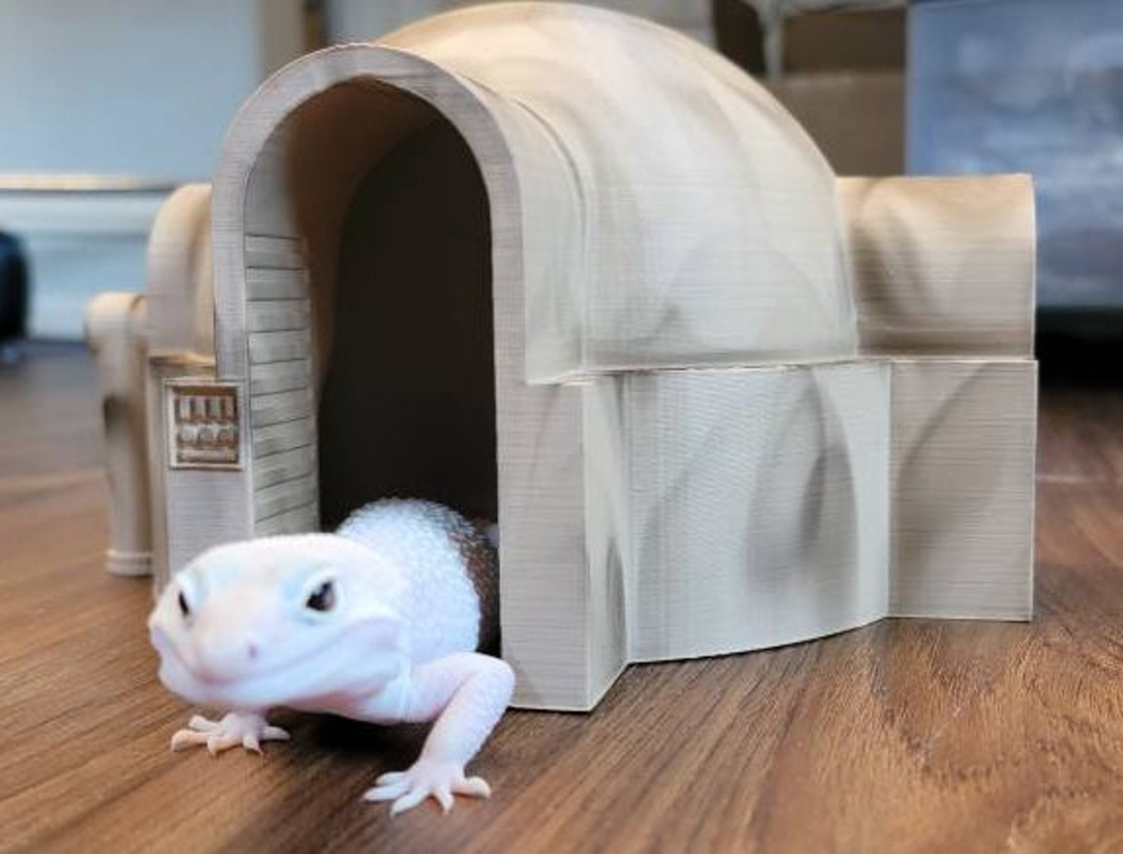 Tatooine Star Wars Style Hut Reptile Hide for Lizard Bearded - Etsy