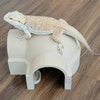 Jurassic Park Entrance Gate Decoration for Reptile Terrarium Lizard ...