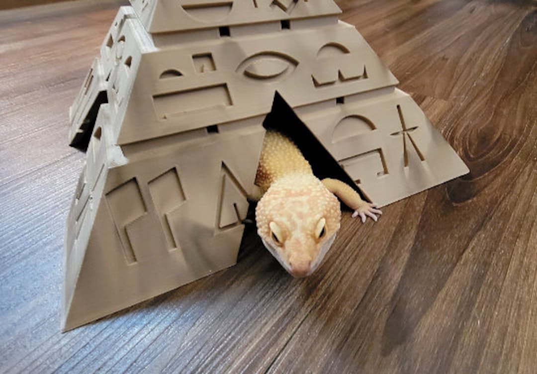 Reptile Decoration Star Gate Pyramid - Etsy