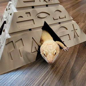 Reptile Decoration Star Gate Pyramid - Etsy