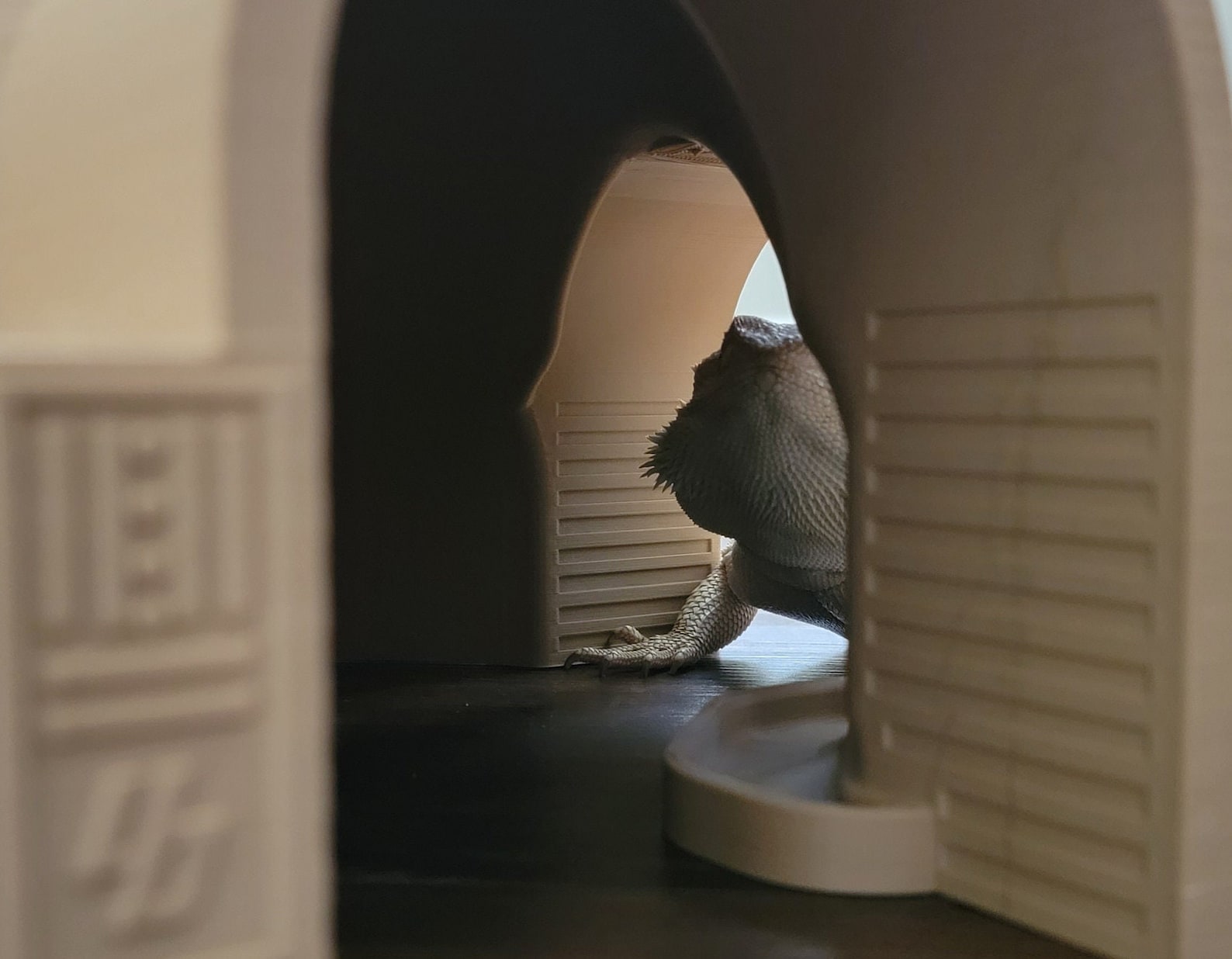 Tatooine Star Wars Style Hut Reptile Hide Large Wide Entrance for ...