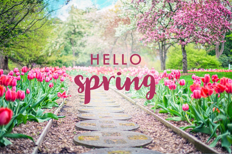 Beautiful "hello Spring" Photo, Floral Digital Art Print – Instant ...
