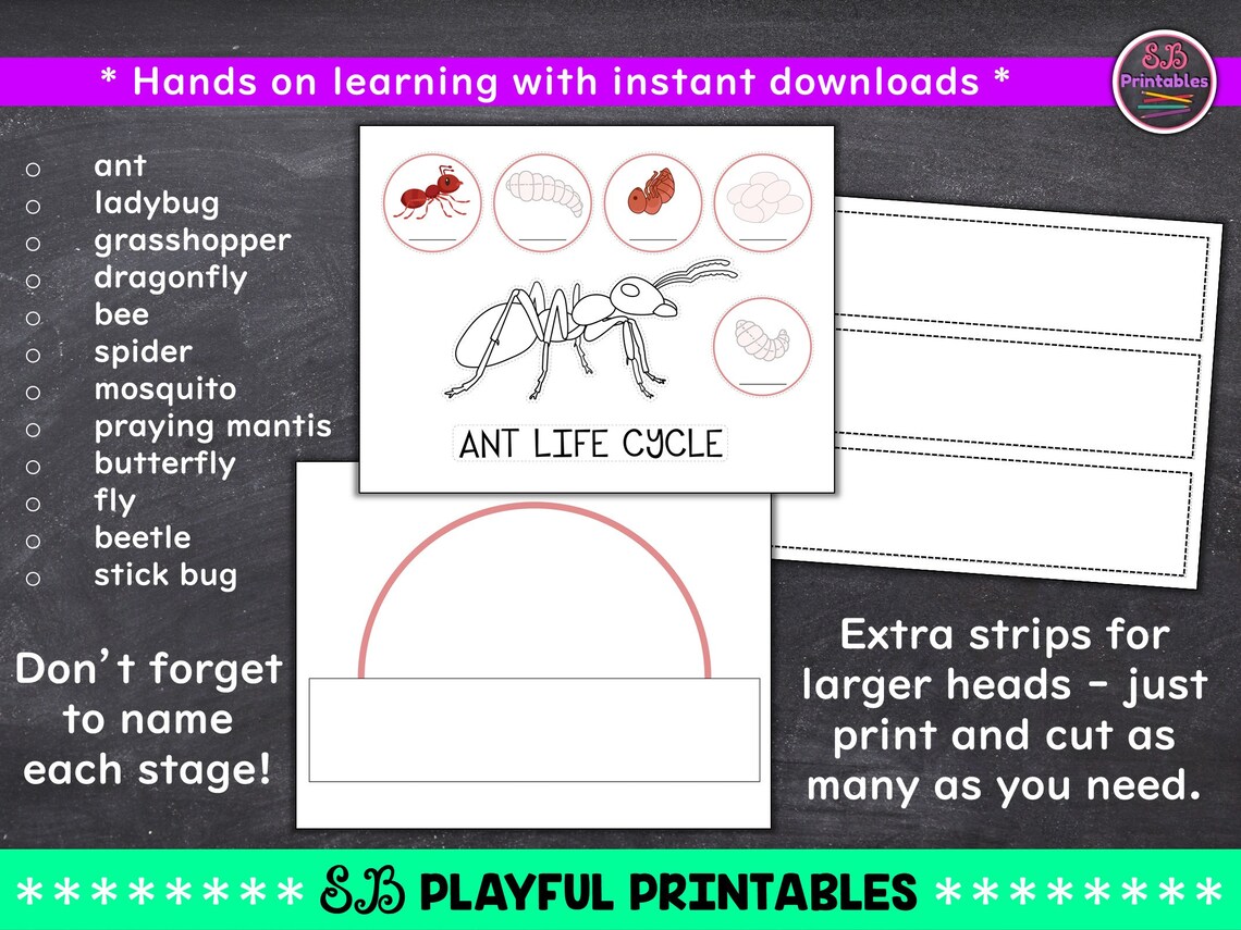 Insect Life Cycle Sequencing Hats for Kids, Hands-on Life Cycle ...